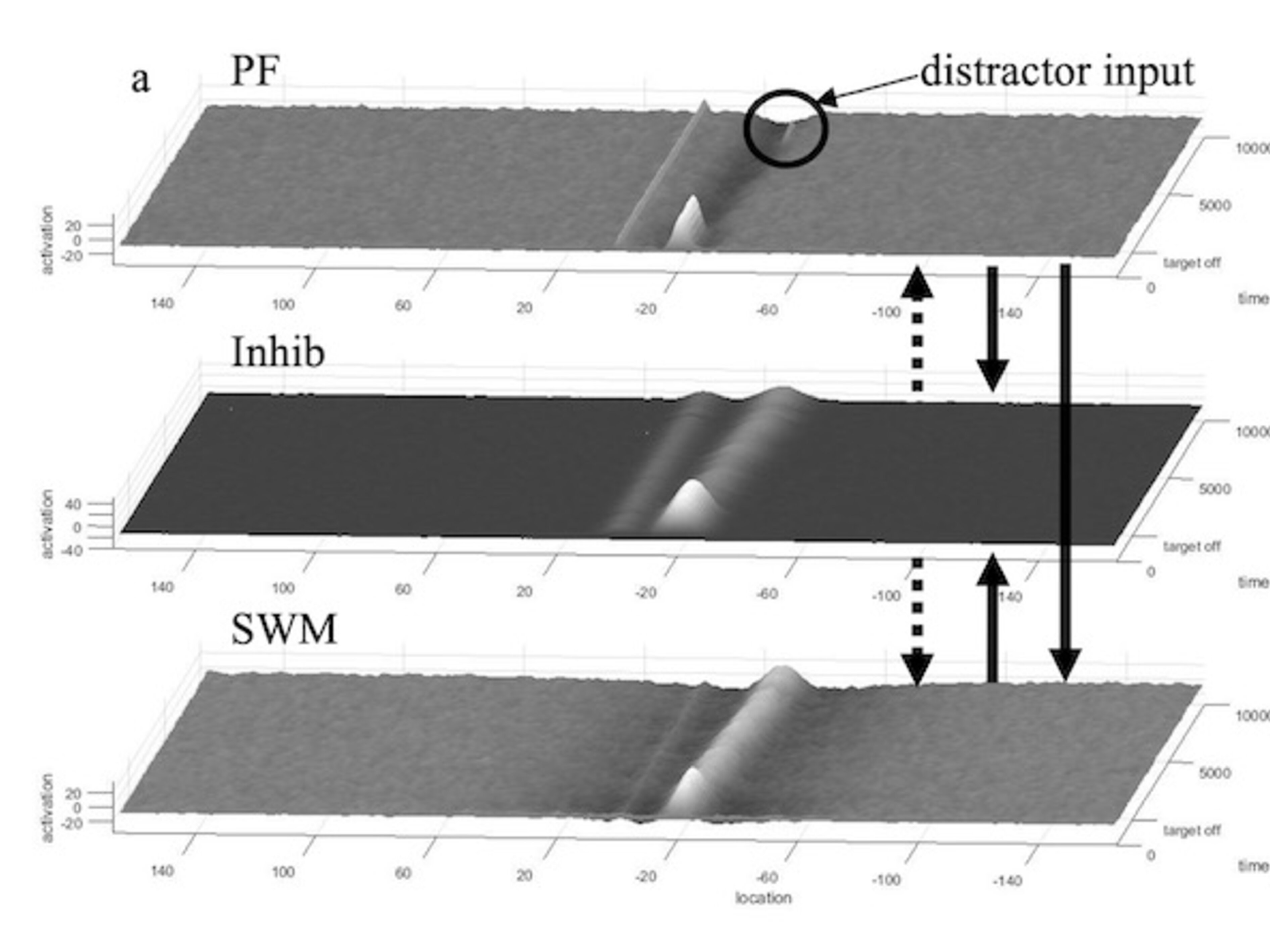 Current Research | Spatial Memory and Cognition Lab | Nebraska